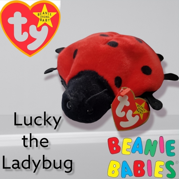 Ty | Toys | Ty Lucky The Ladybug Beanie Babies | Poshmark